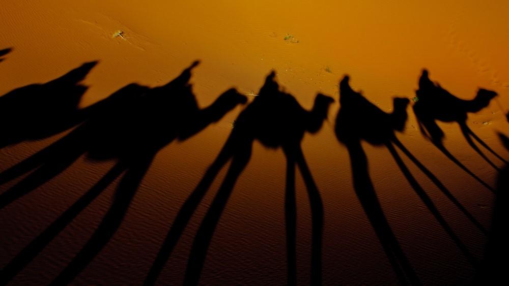 What Are The Most Famous Arabic Movies?